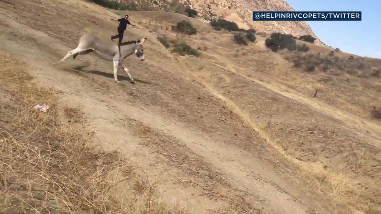 Los Angeles and Southern California News - ABC7 KABC