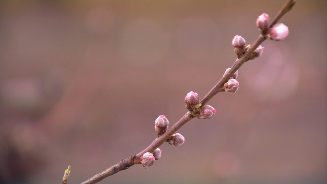 Accuweather - Fresno Weather | abc30.com