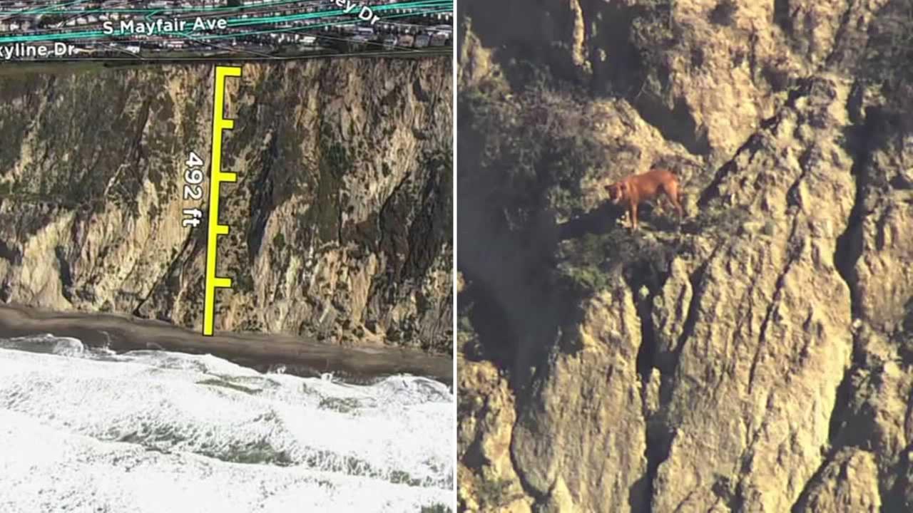 dead body | abc11.com