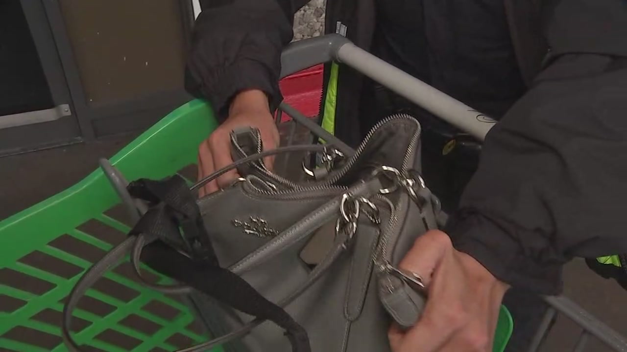 purse snatching | abc13.com