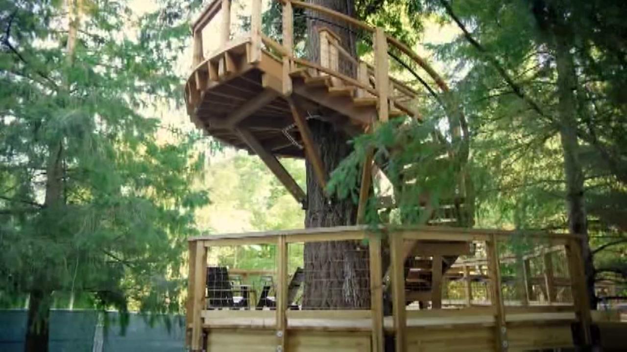 Microsoft unveils treehouse meeting room at Washington campus | abc13.com