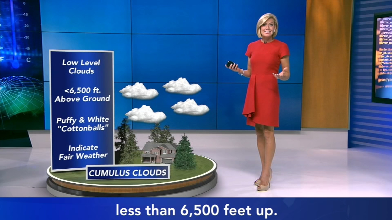 Cecily Tynan | 6abc.com