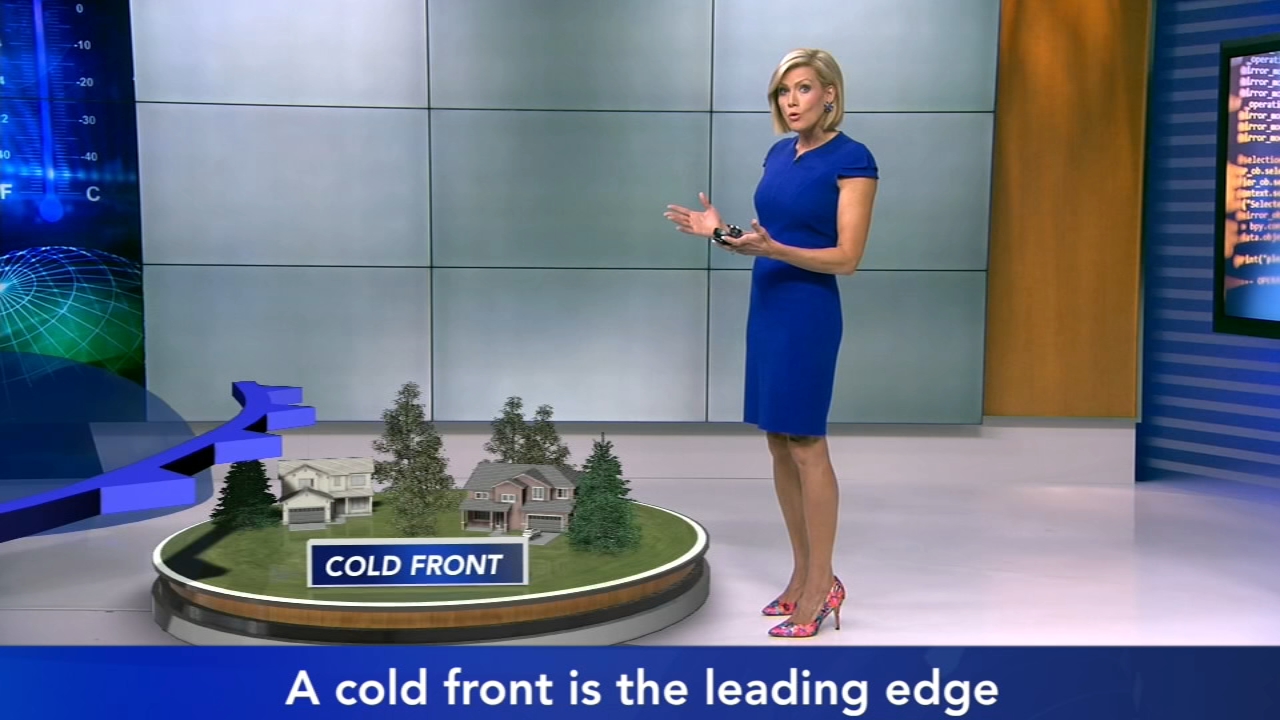 Cecily Tynan | 6abc.com