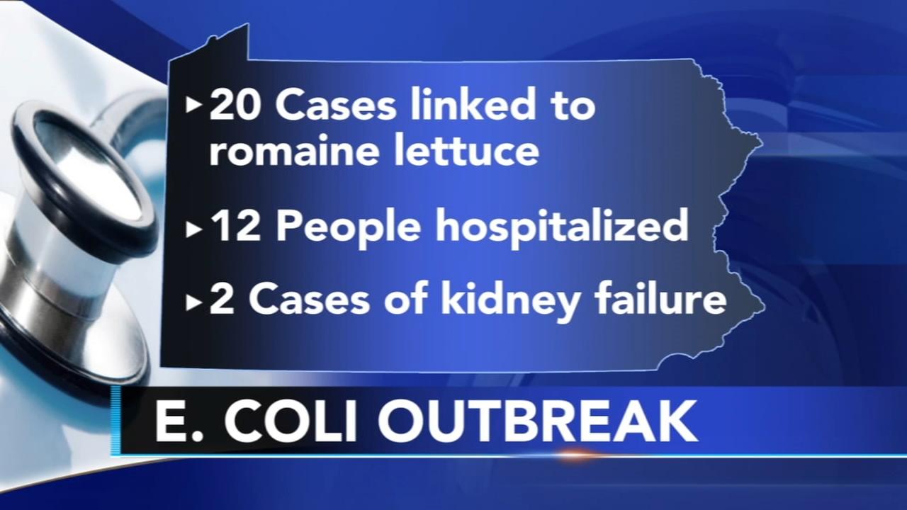 20 confirmed E. coli cases in Pennsylvania linked to romaine lettuce ... 20 confirmed E. coli cases in Pennsylvania linked to romaine lettuce ...