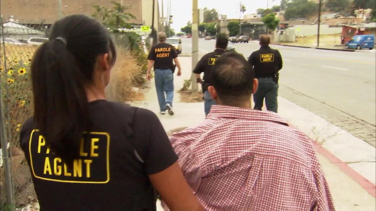 Operation Guardian Gang Sweep Nets Drugs Guns Arrests
