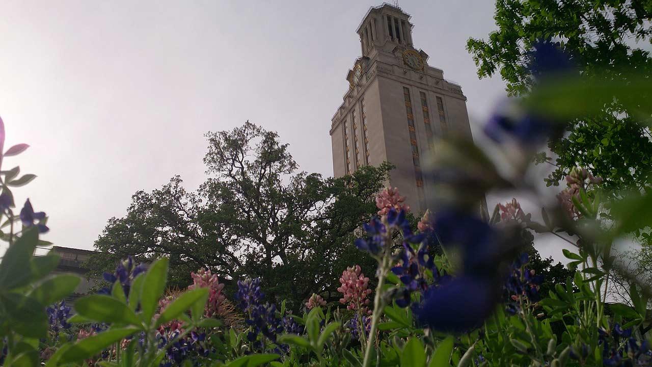 Spring prank? Bluebonnets at UT Austin feature Aggie maroon flowers ...